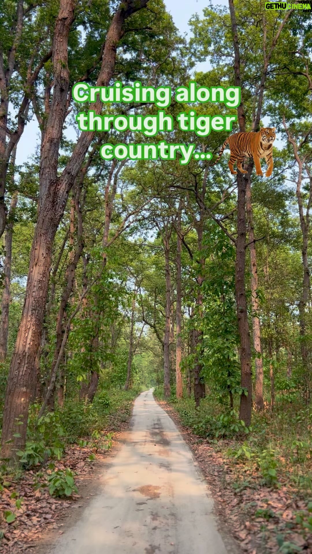 Sri Sudha Bhimireddy | Gethu Cinema