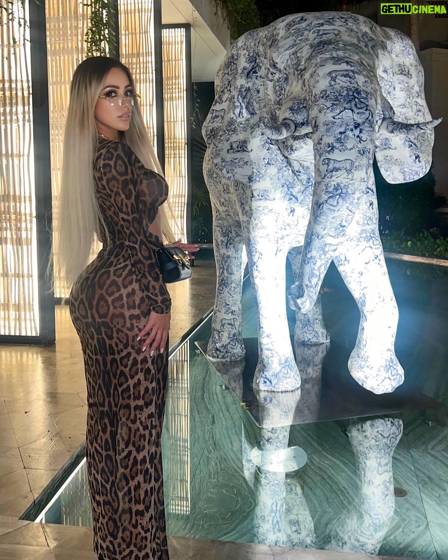 Stephanie Herela Instagram – She let it go. She was ready to vibrate ...