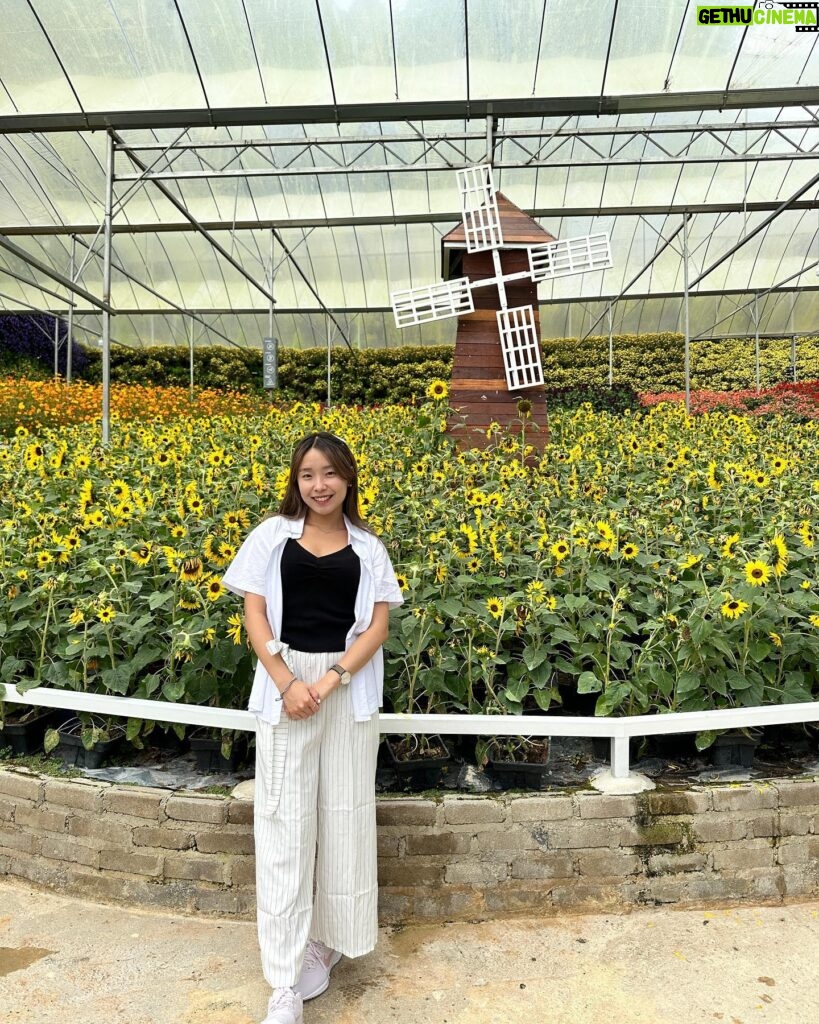 Actress Sylvia Kim HD Instagram Photos and Wallpapers August 2023 ...