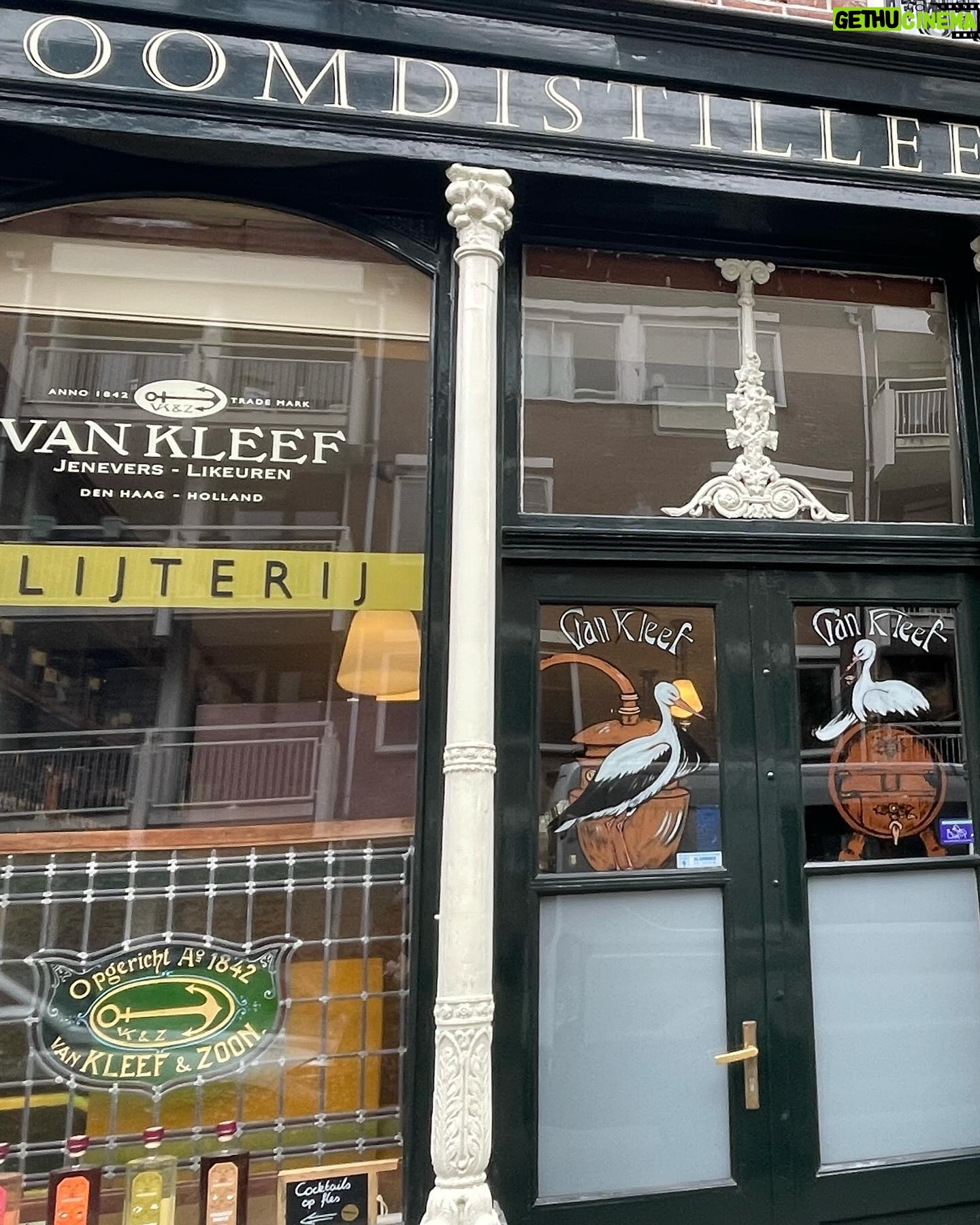 Tülin Özen Instagram – Nerds rule the world ...