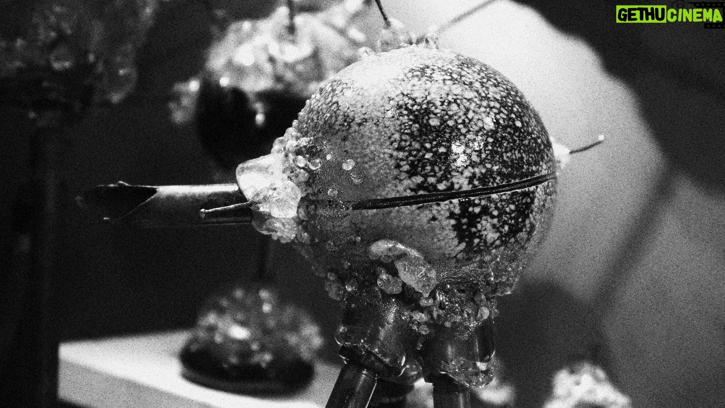 Talitha Bateman | Gethu Cinema