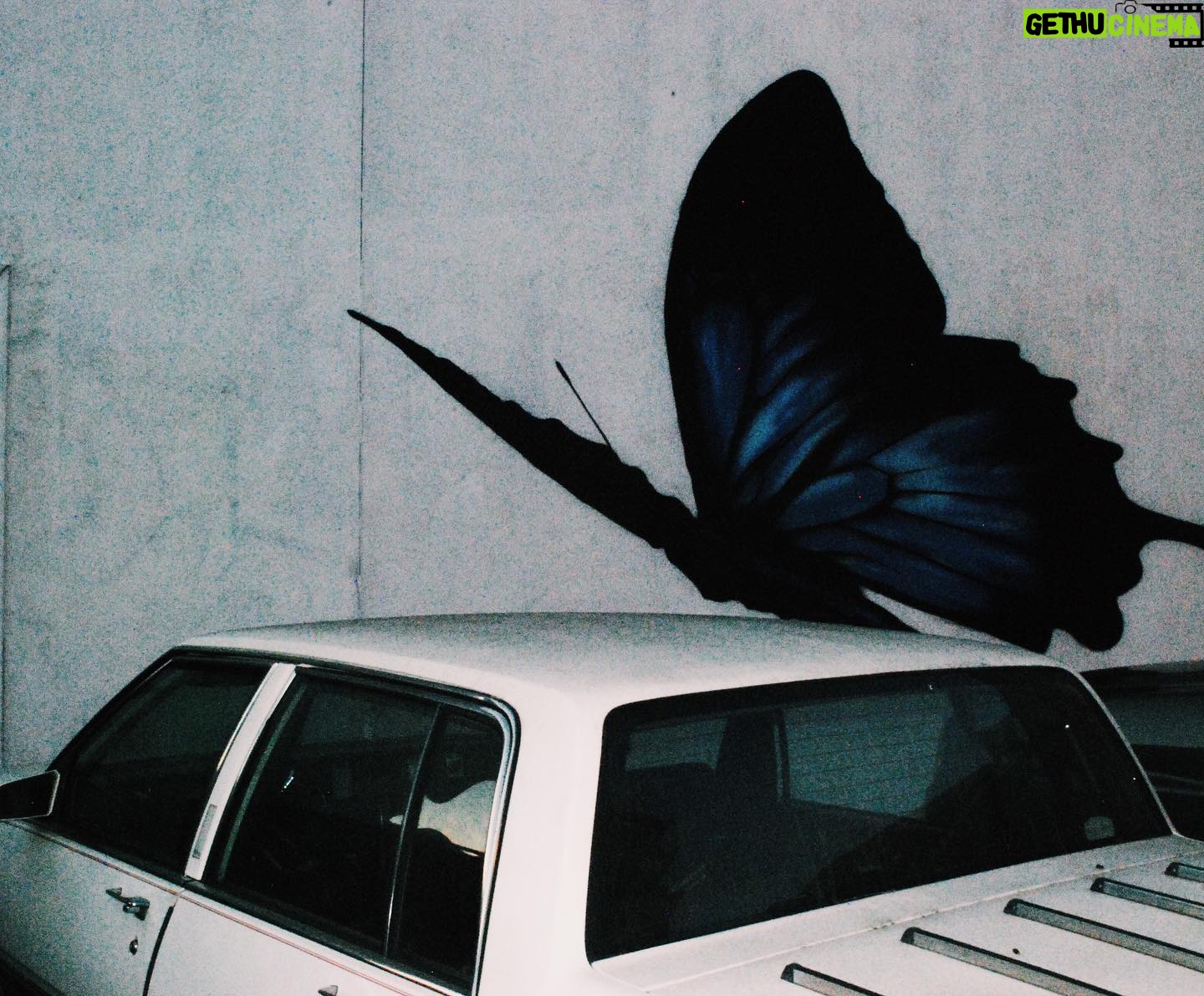 Troy Leigh-Anne Johnson | Gethu Cinema