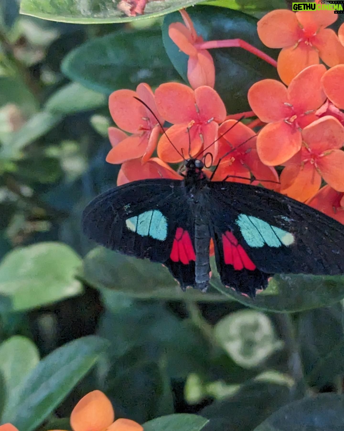 Actress Wendi McLendon-Covey HD Instagram Photos and Wallpapers May ...