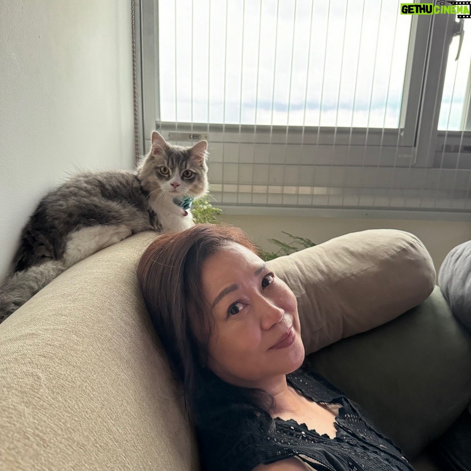 Xiang Yun | Gethu Cinema