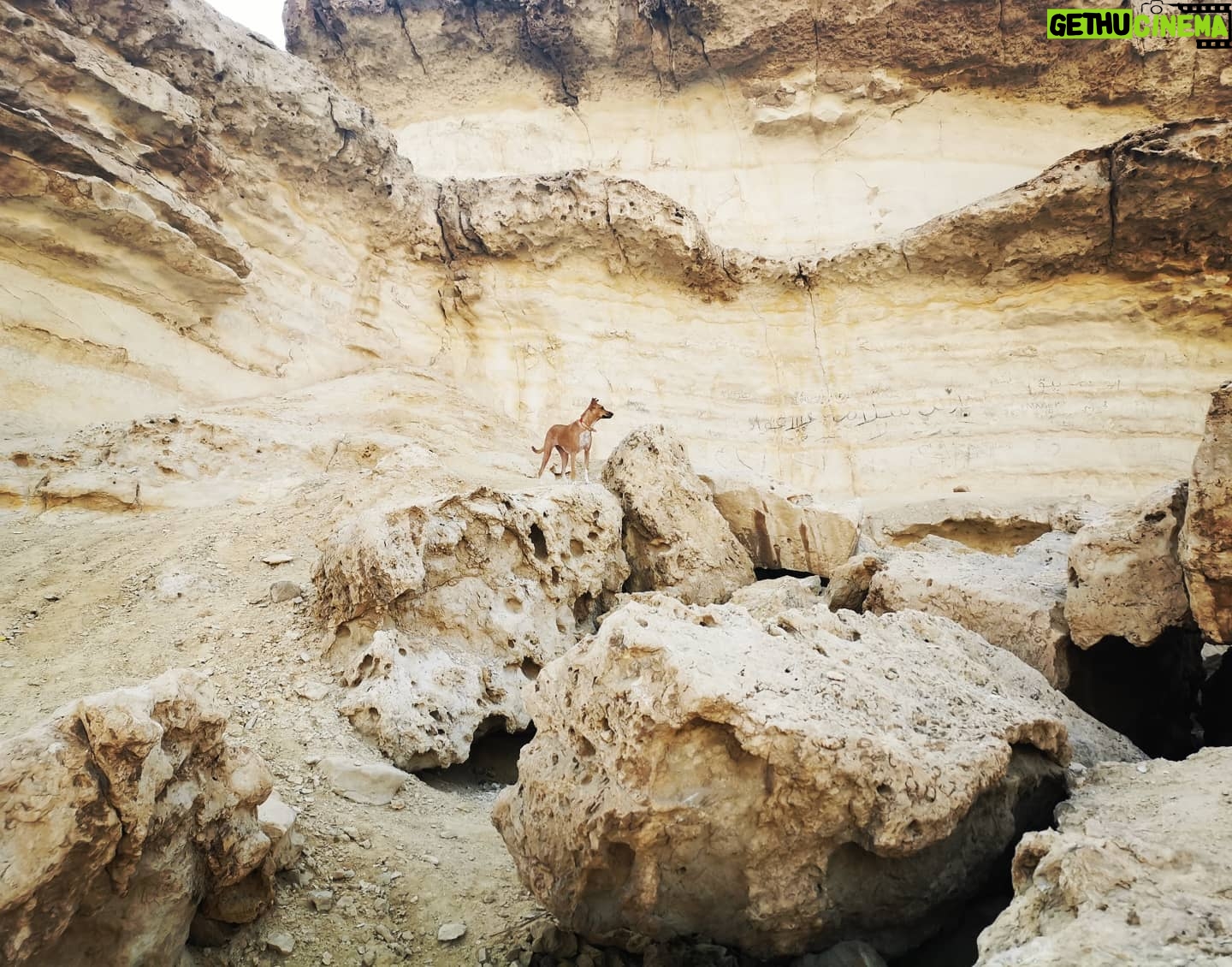 Aida El Kashef | Gethu Cinema