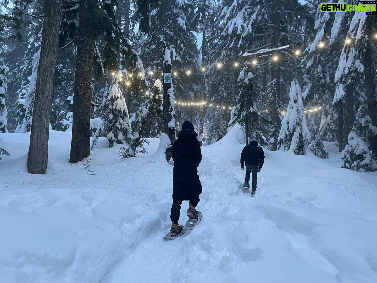 Alison Thornton | Gethu Cinema