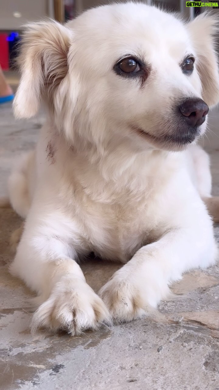 Alp Kırşan | Gethu Cinema