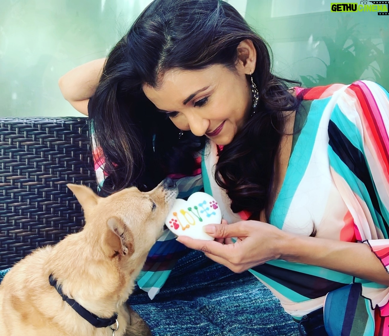 Anjali Bhimani | Gethu Cinema