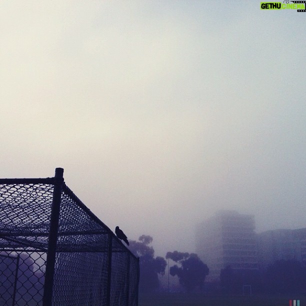 Actress Ari Wegner HD Instagram Photos and Wallpapers October 2012 ...