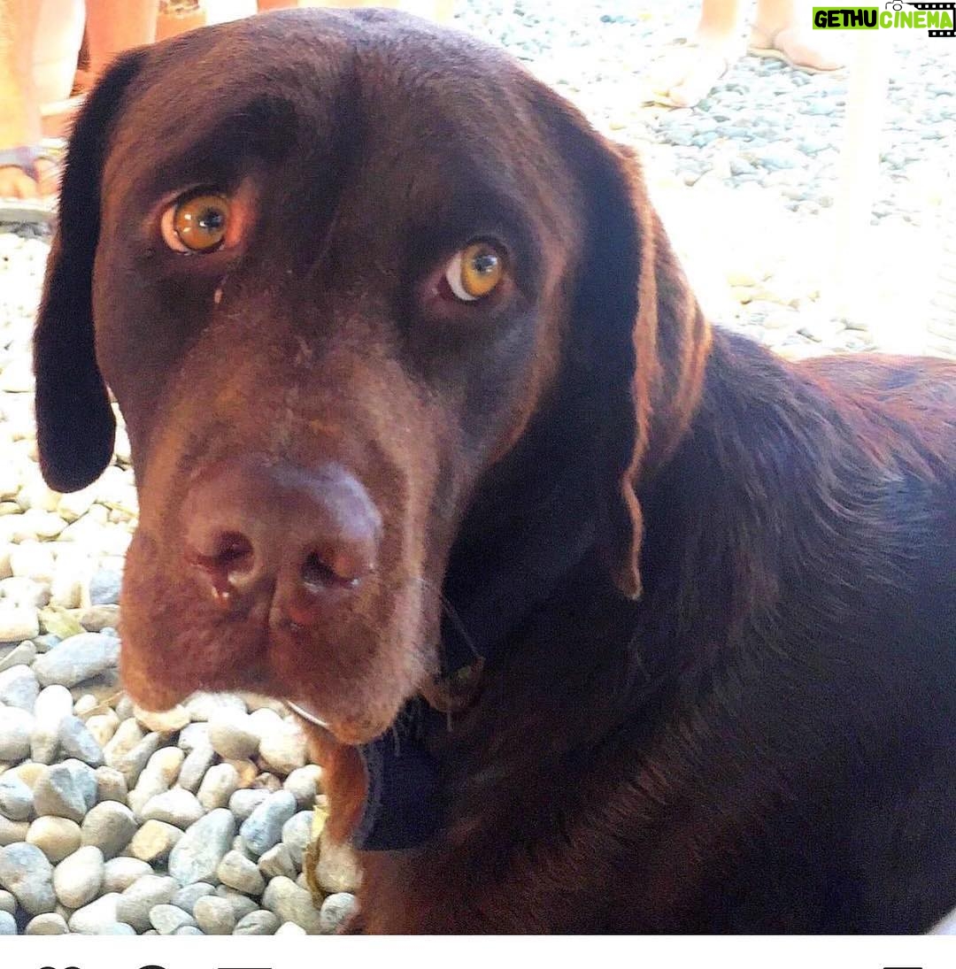 Barış Falay | Gethu Cinema