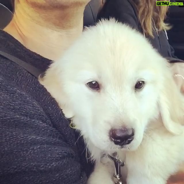 Bart Baker | Gethu Cinema