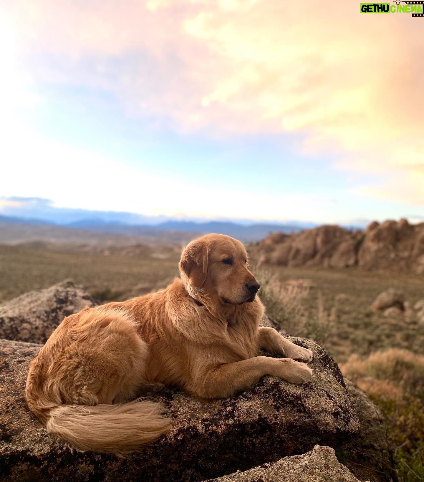 Becky Durst | Gethu Cinema