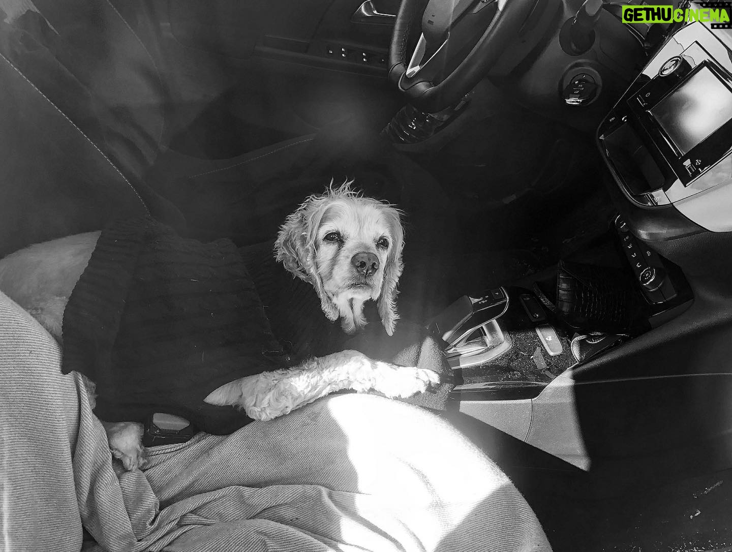 Beril Kayar | Gethu Cinema