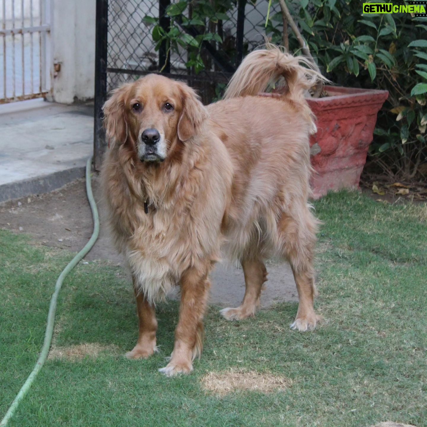 Bhumi Rajgor | Gethu Cinema