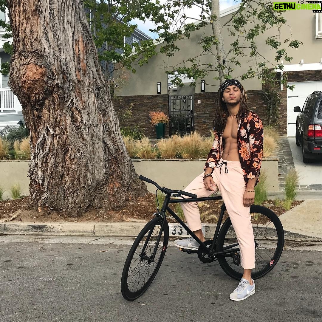 Bluey Robinson | Gethu Cinema