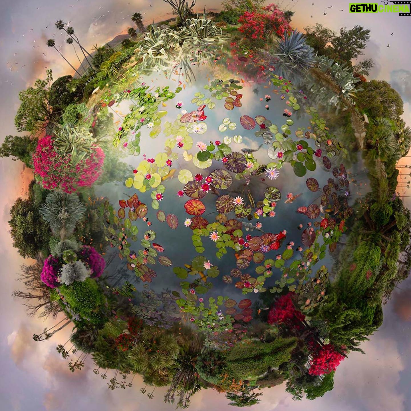 Brooke Williams | Gethu Cinema