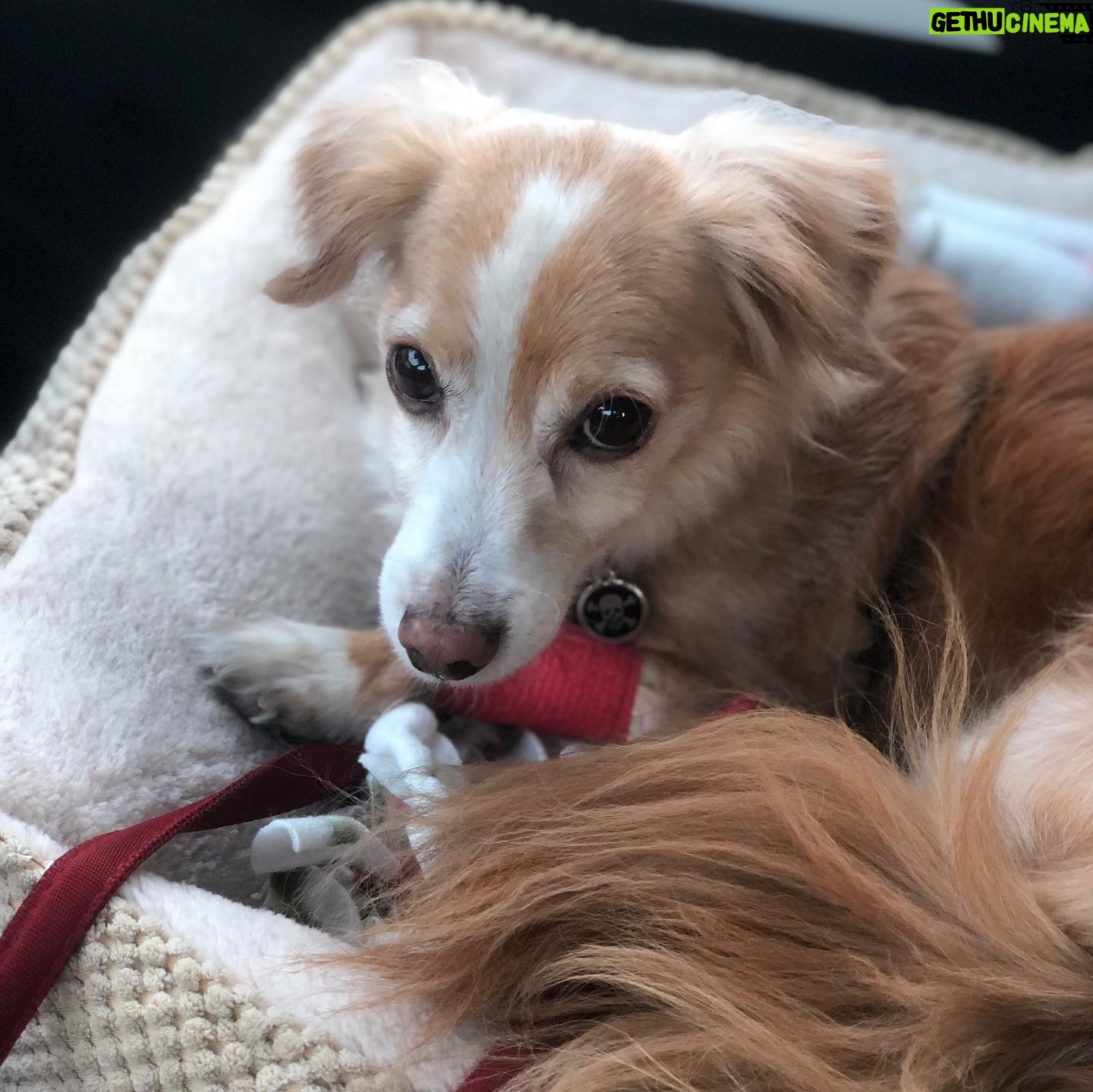 Cara Santa Maria | Gethu Cinema