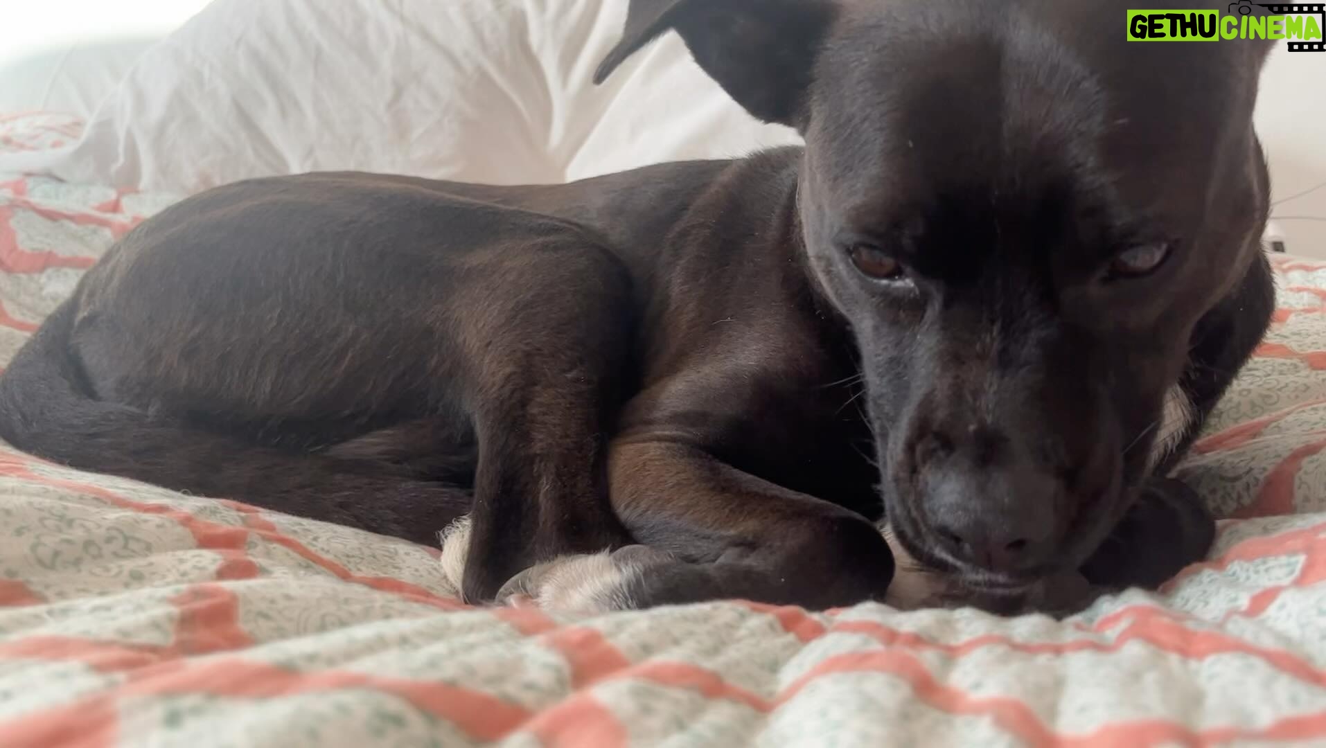 Charlie Ray | Gethu Cinema