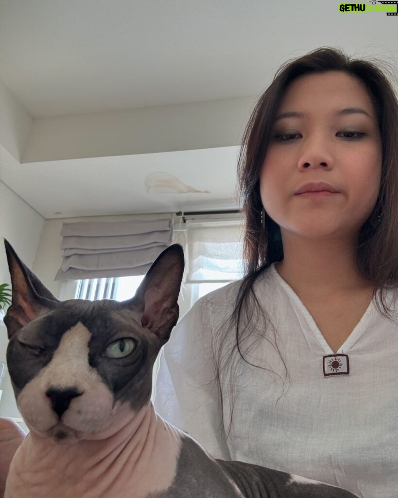 Actress Danilla Riyadi HD Instagram Photos and Wallpapers July 2024 ...