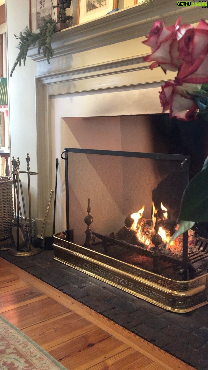 Dayle Haddon | Gethu Cinema