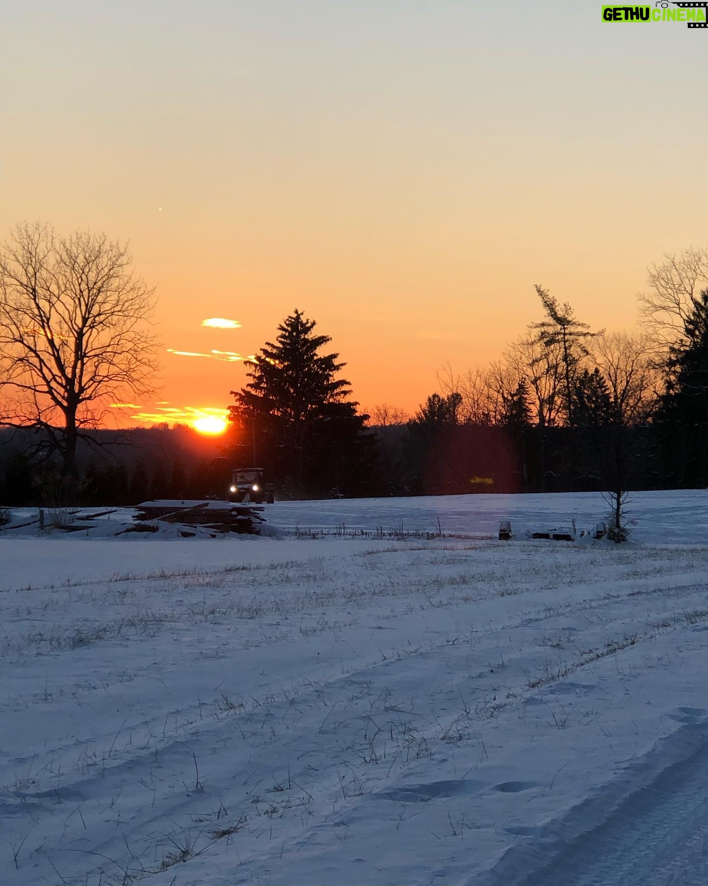 Dayle Haddon | Gethu Cinema