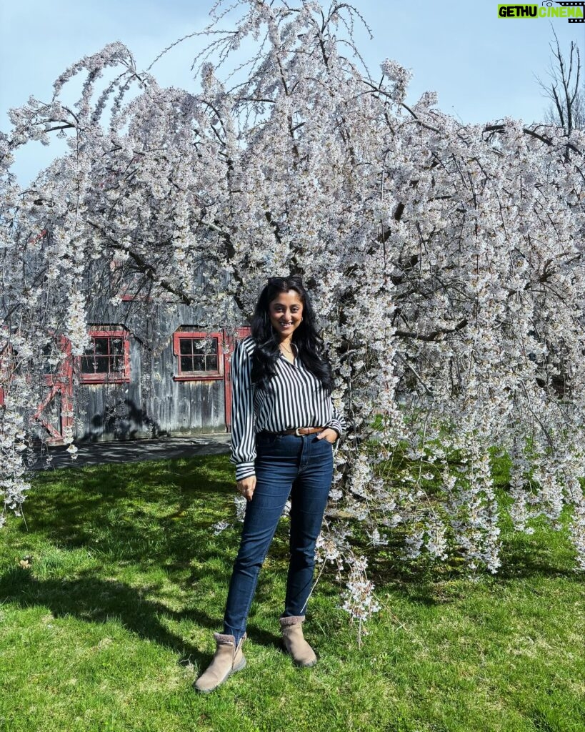 Actress Debleena Sen HD Instagram Photos and Wallpapers April 2024 ...
