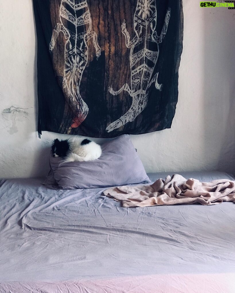 Derya Alabora | Gethu Cinema