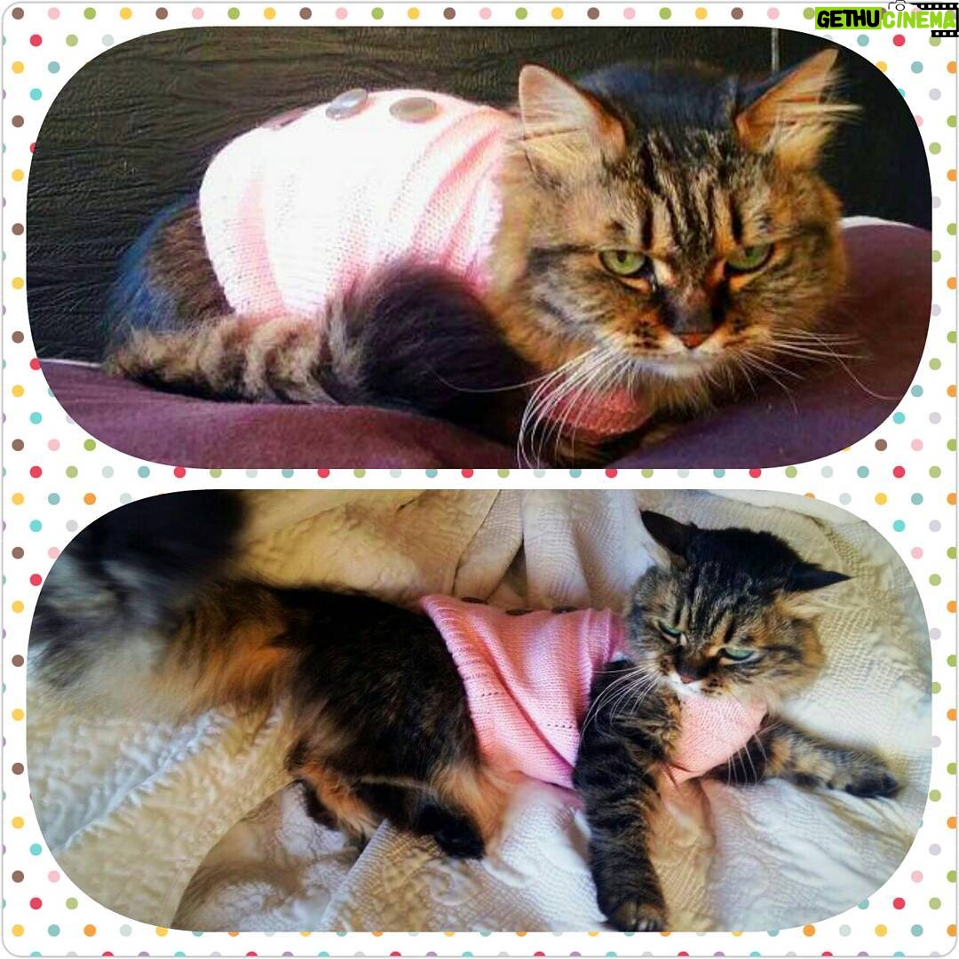 Elif İnci | Gethu Cinema