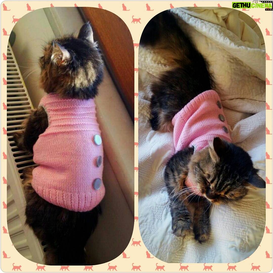 Elif İnci | Gethu Cinema