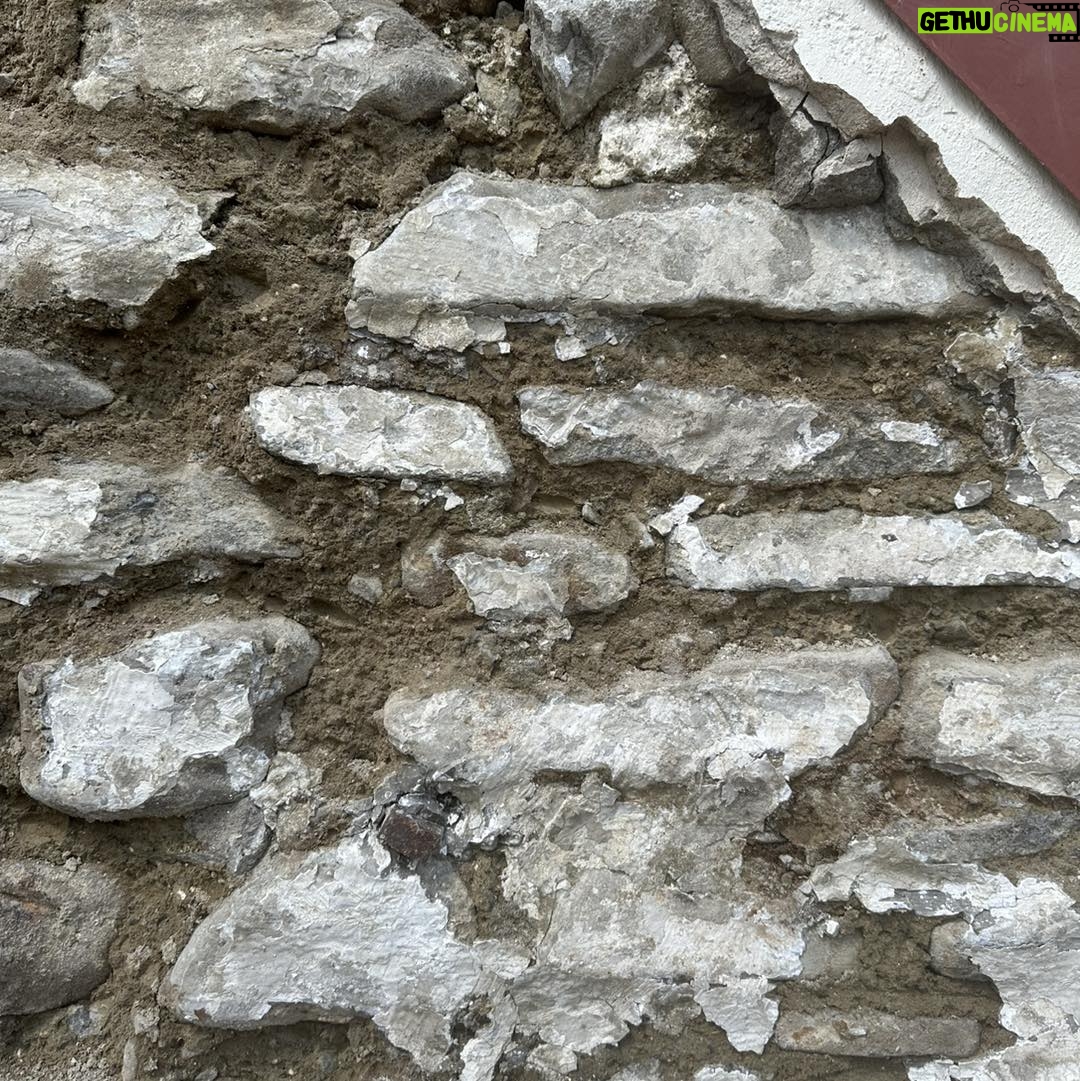 Emily Gravett | Gethu Cinema