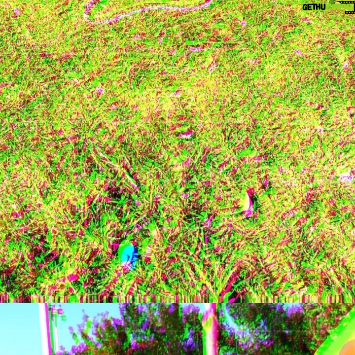 Gala Kogan | Gethu Cinema