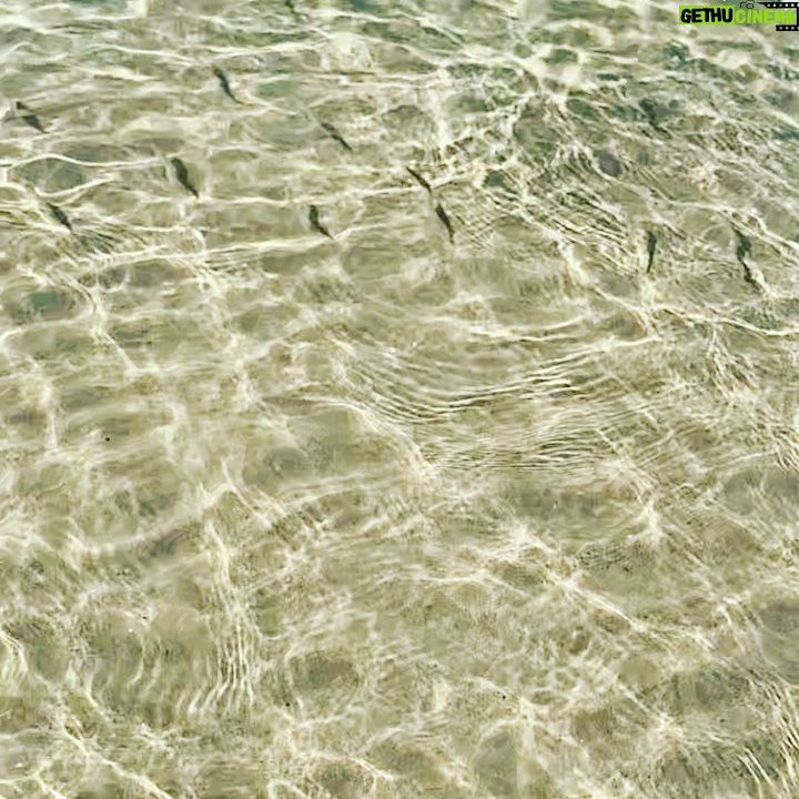 Gala Kogan | Gethu Cinema