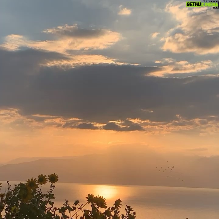 Gala Kogan | Gethu Cinema