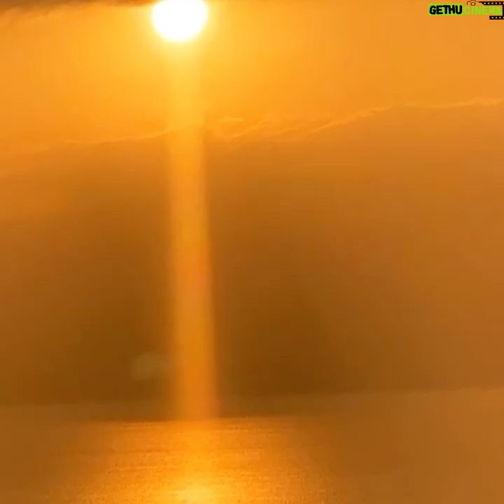 Gala Kogan | Gethu Cinema