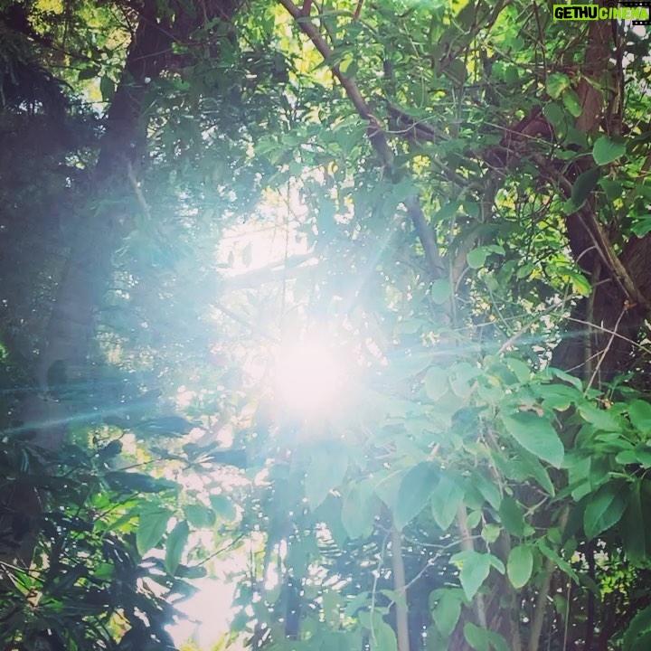 Gala Kogan | Gethu Cinema