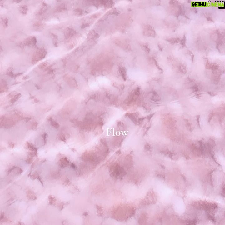 Gala Kogan | Gethu Cinema