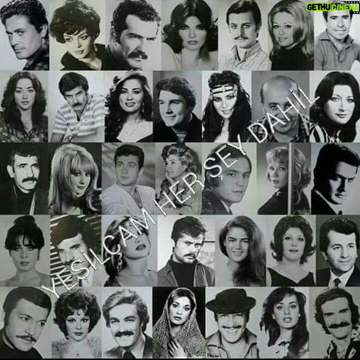 Gül Arcan | Gethu Cinema