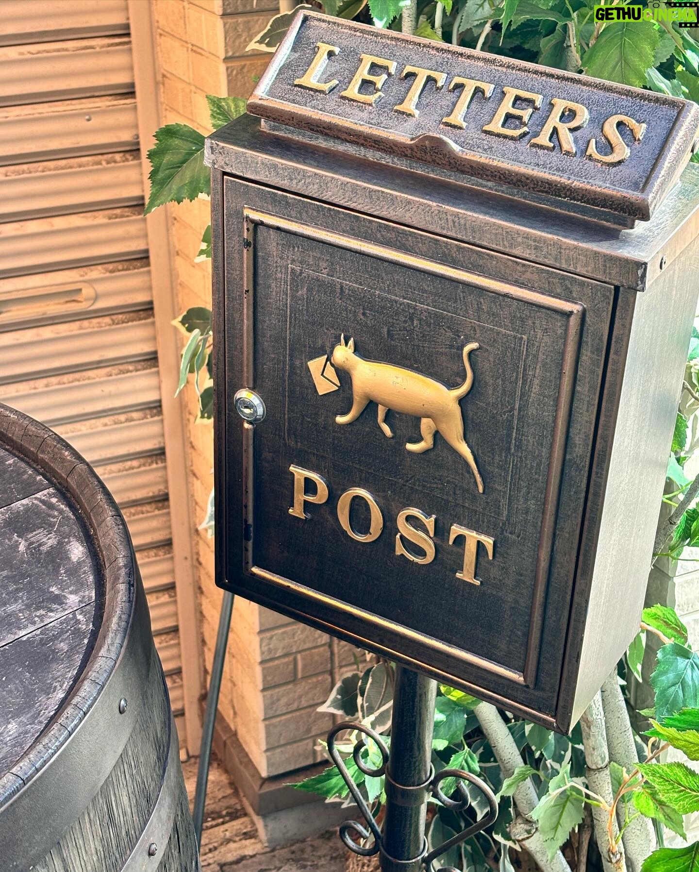 Hong Hwa-yeon | Gethu Cinema