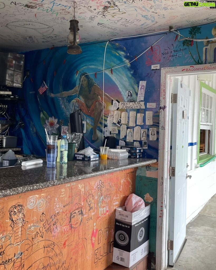 Actress India Jarvis HD Instagram Photos and Wallpapers May 2023 ...