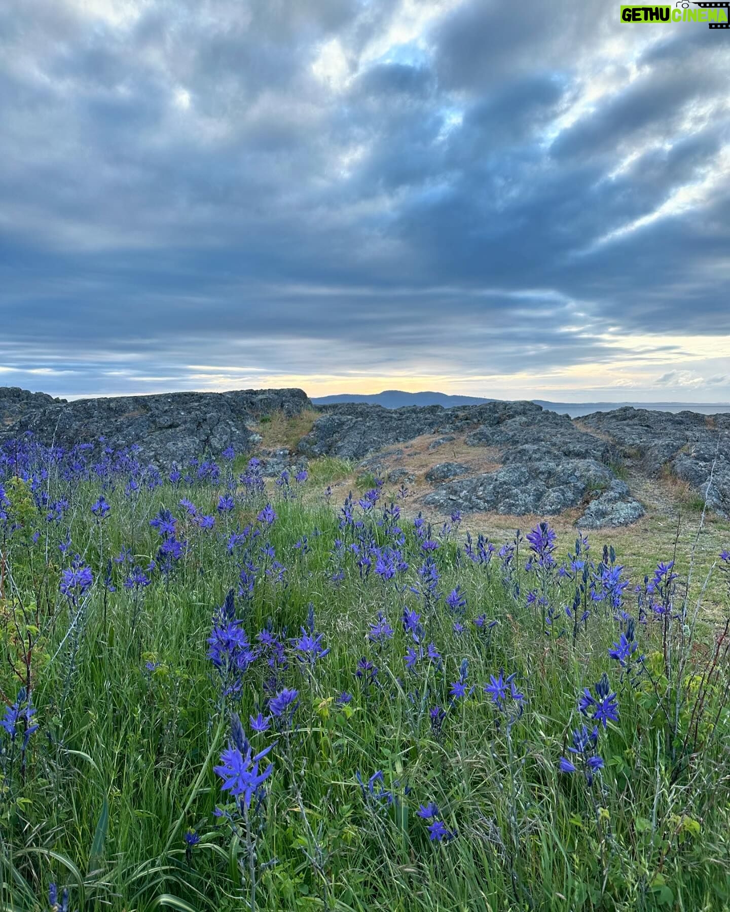 Jennifer Hale | Gethu Cinema