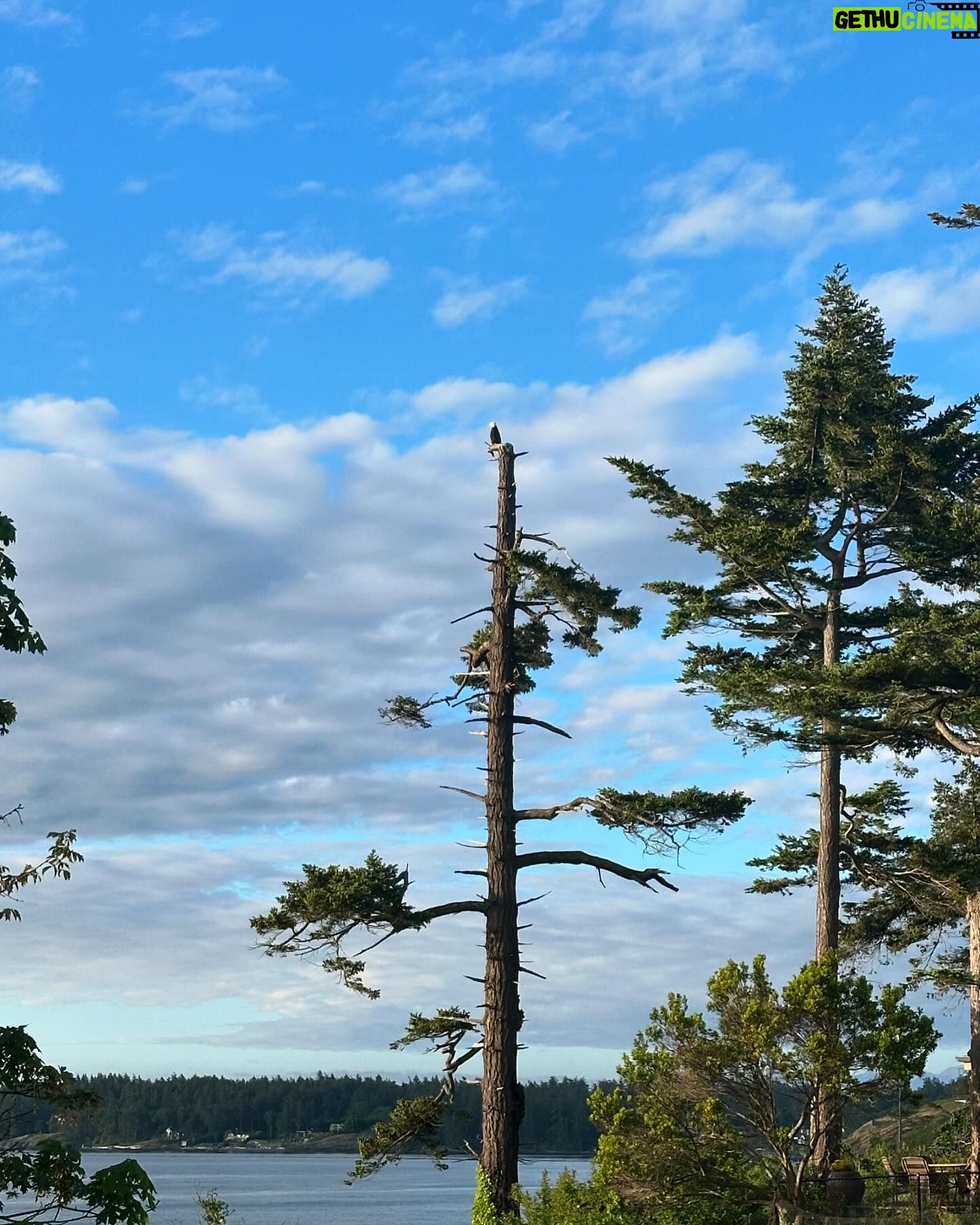 Jennifer Hale | Gethu Cinema