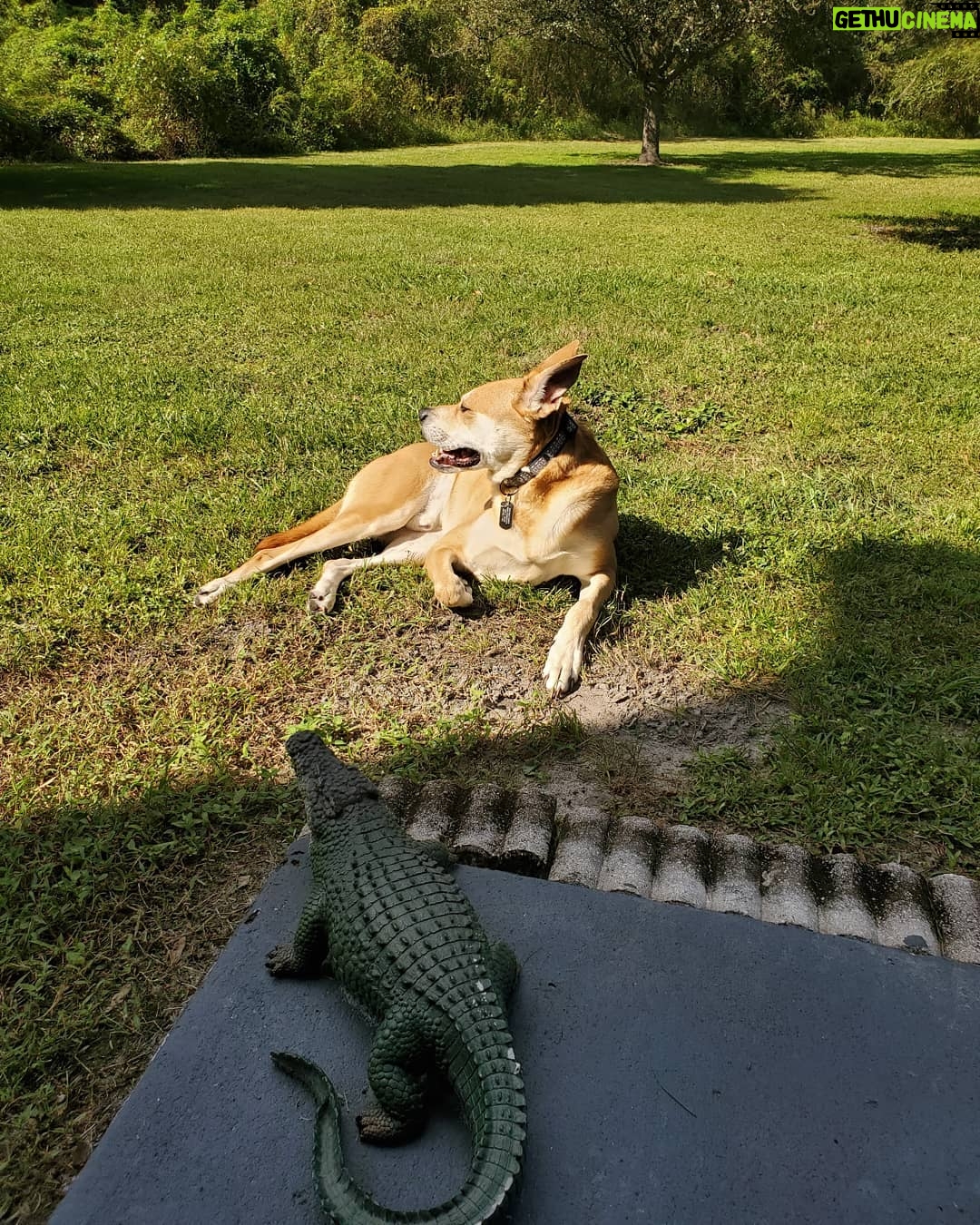 Jon Huber | Gethu Cinema