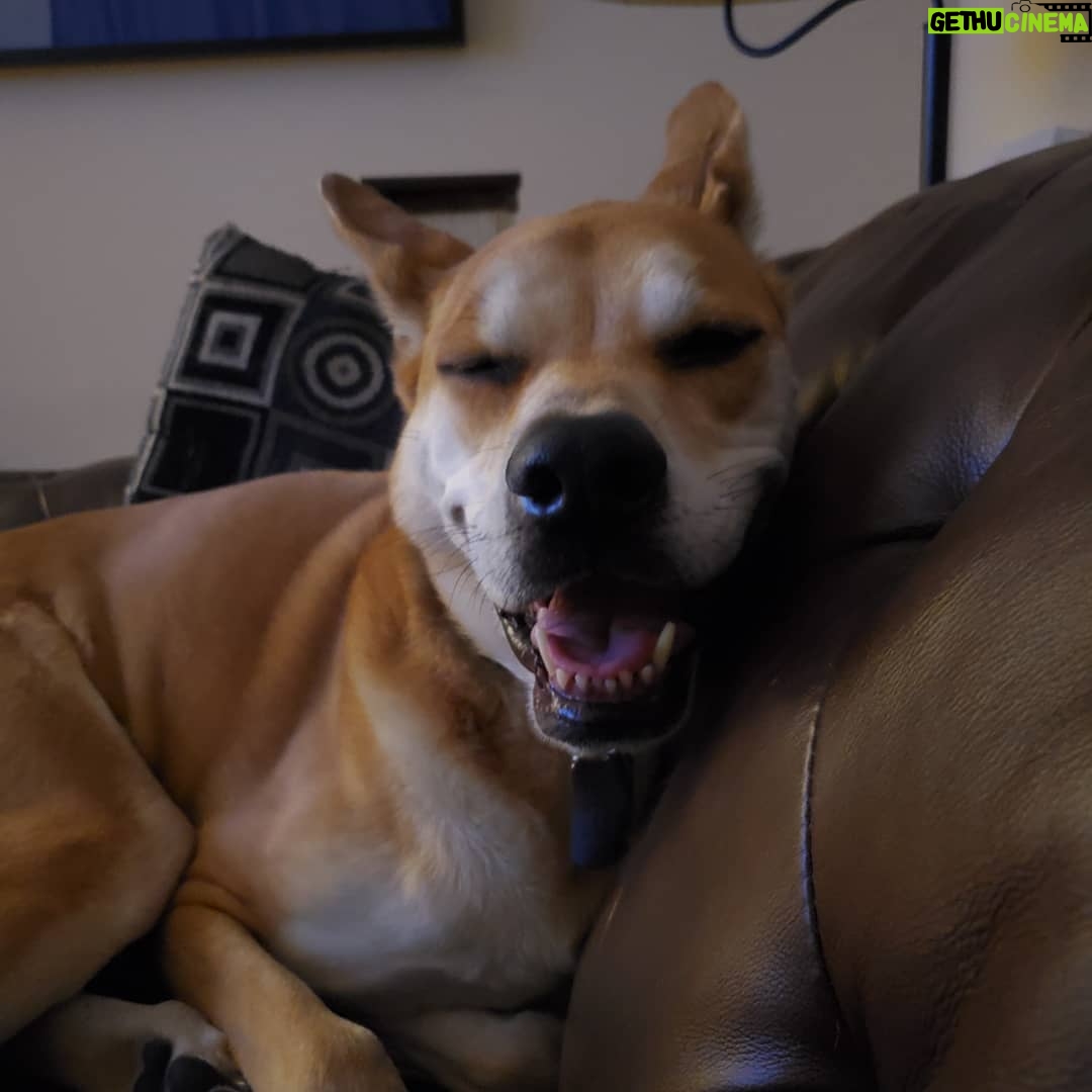 Jon Huber | Gethu Cinema