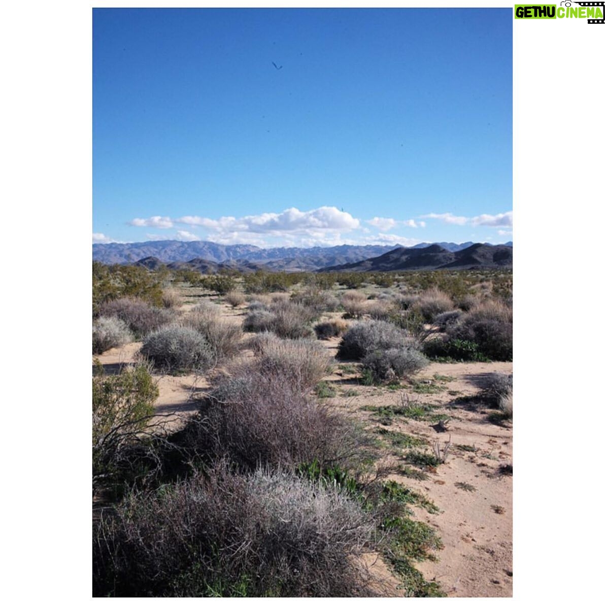 Juliet Rylance | Gethu Cinema