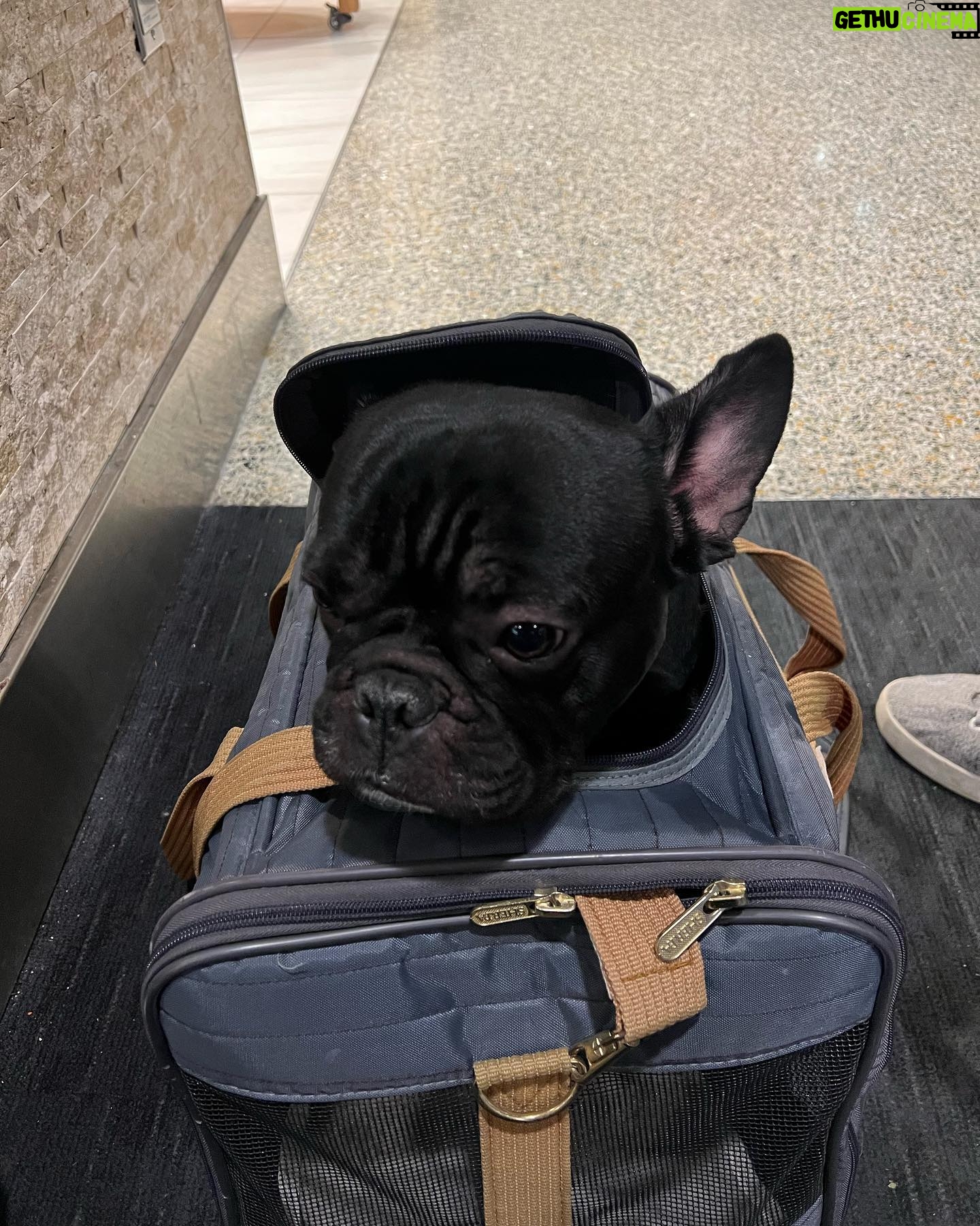 Actress Kaley Ann Voorhees HD Instagram Photos and Wallpapers March ...