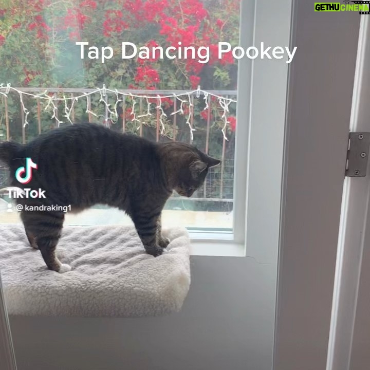 Kandra King | Gethu Cinema