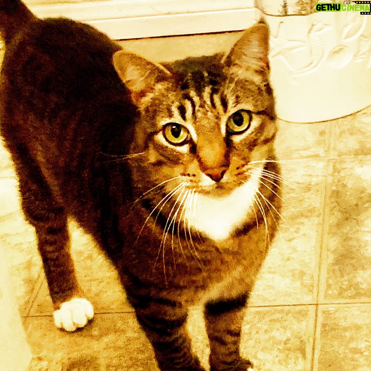 Kandra King | Gethu Cinema