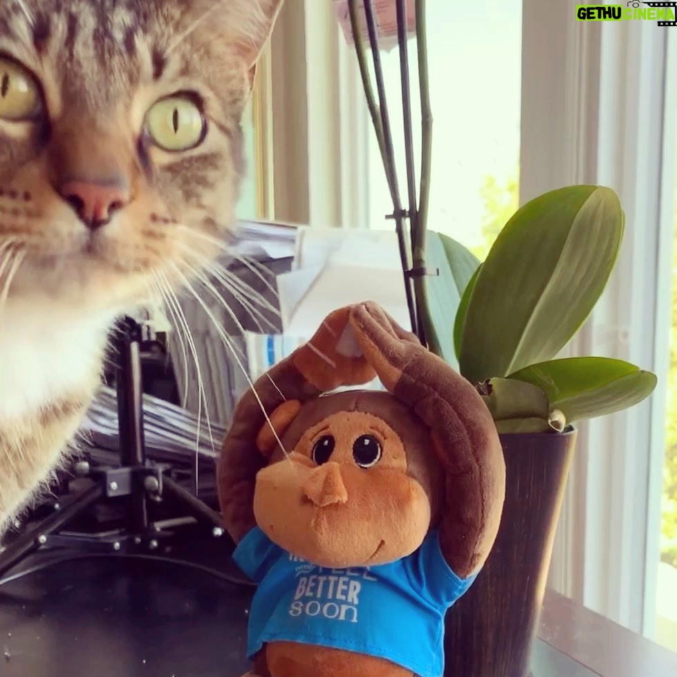 Kandra King | Gethu Cinema