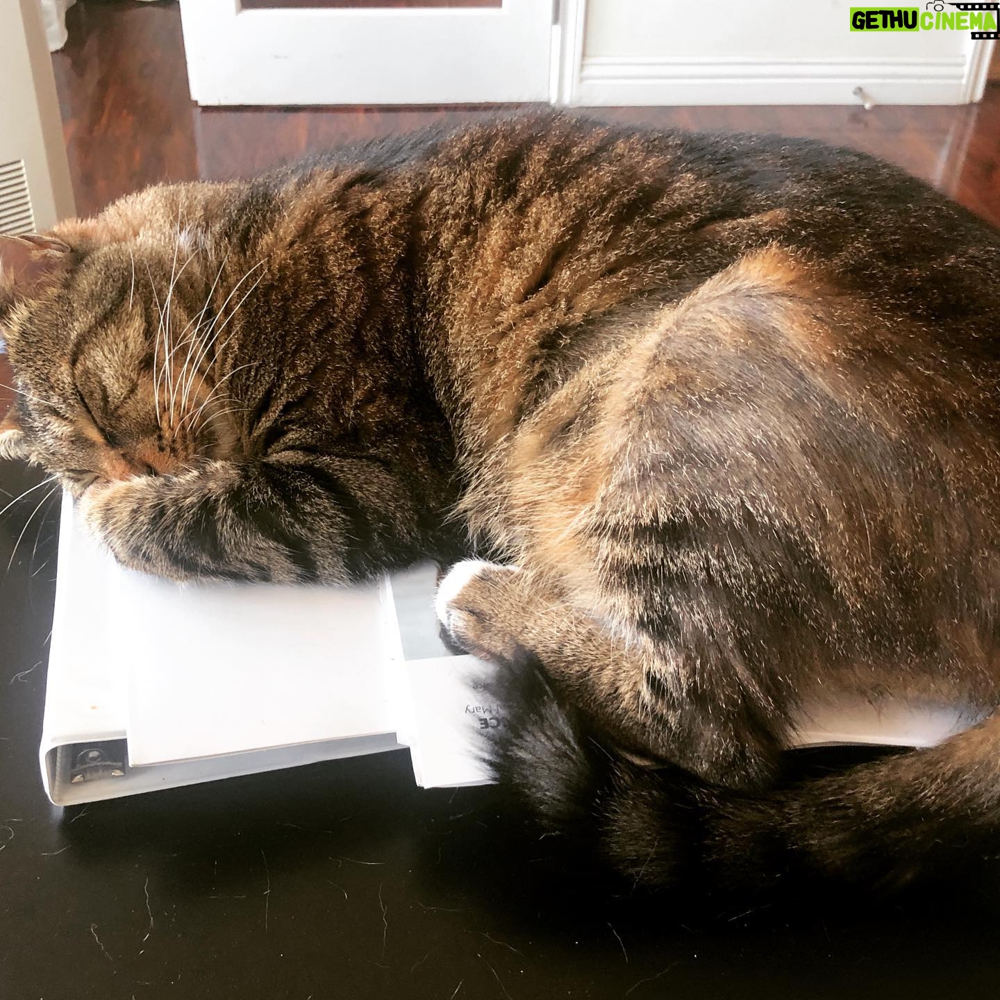 Kandra King | Gethu Cinema