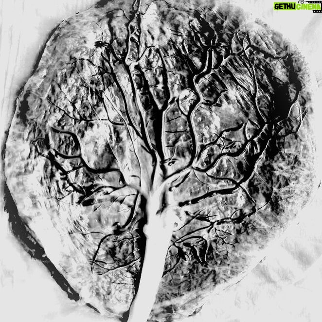 Keon Alexander Wiki, Biography, Age, Gallery, Spouse and more